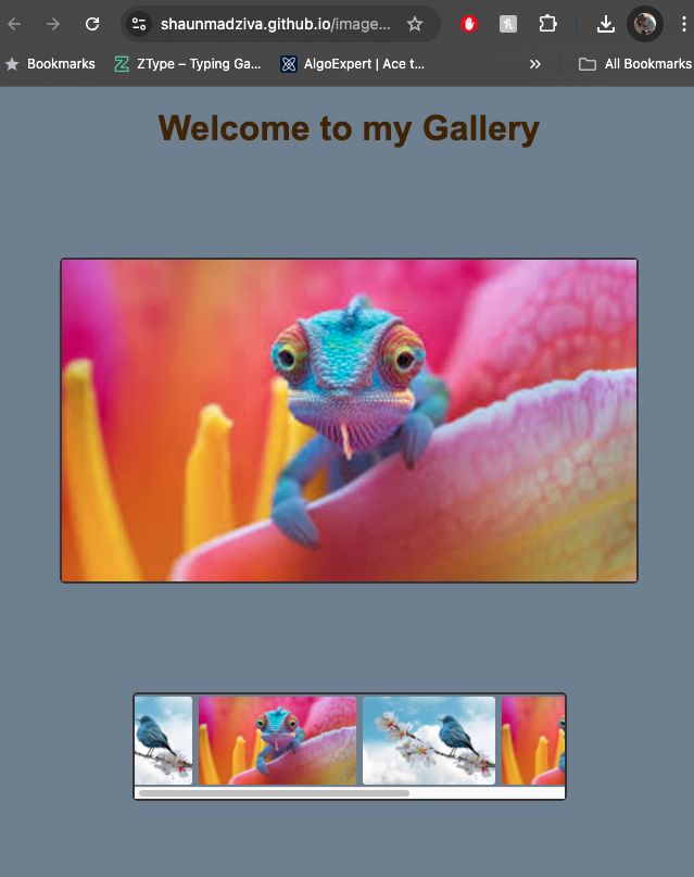 Portfolio Shaun Madziva